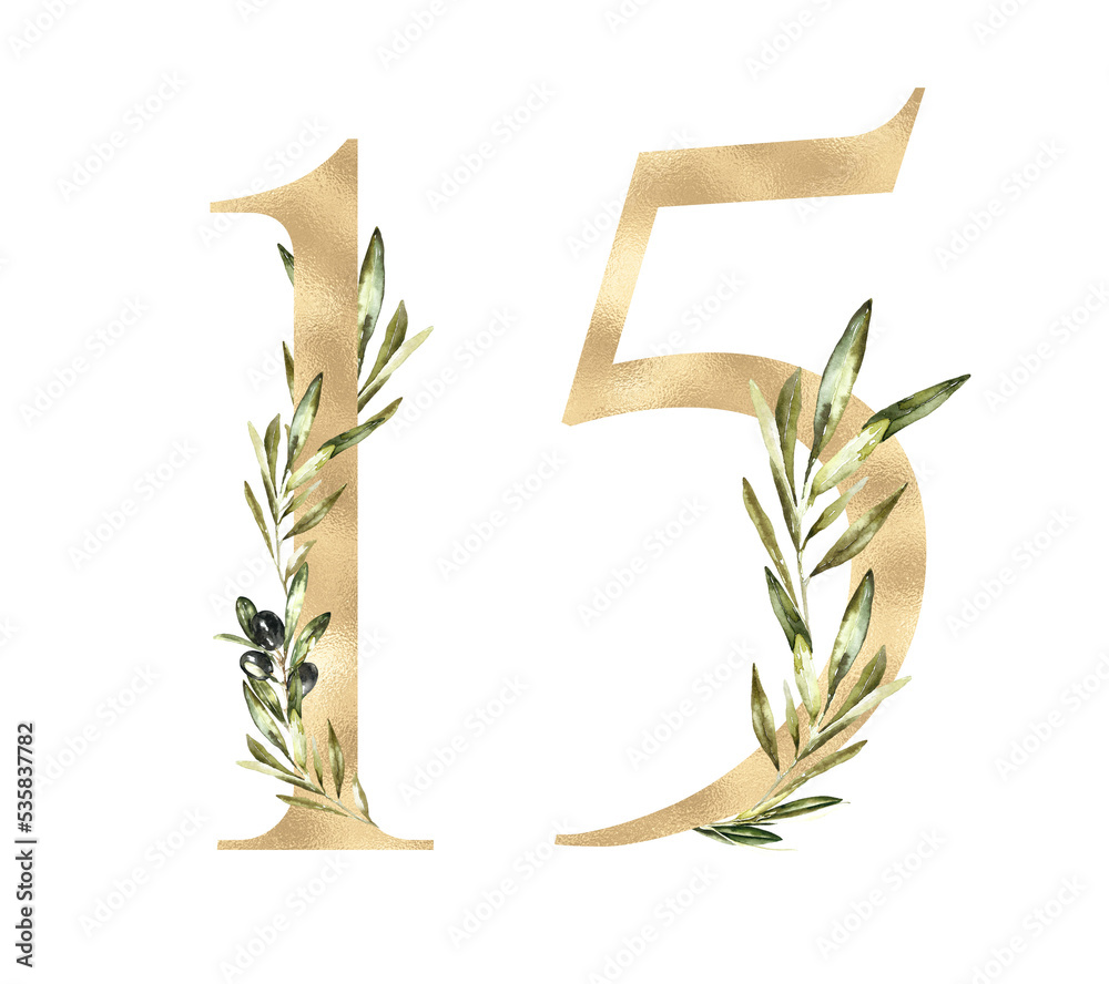 Watercolor number 15 illustration. Greenery olive leaves,branch, gold ...