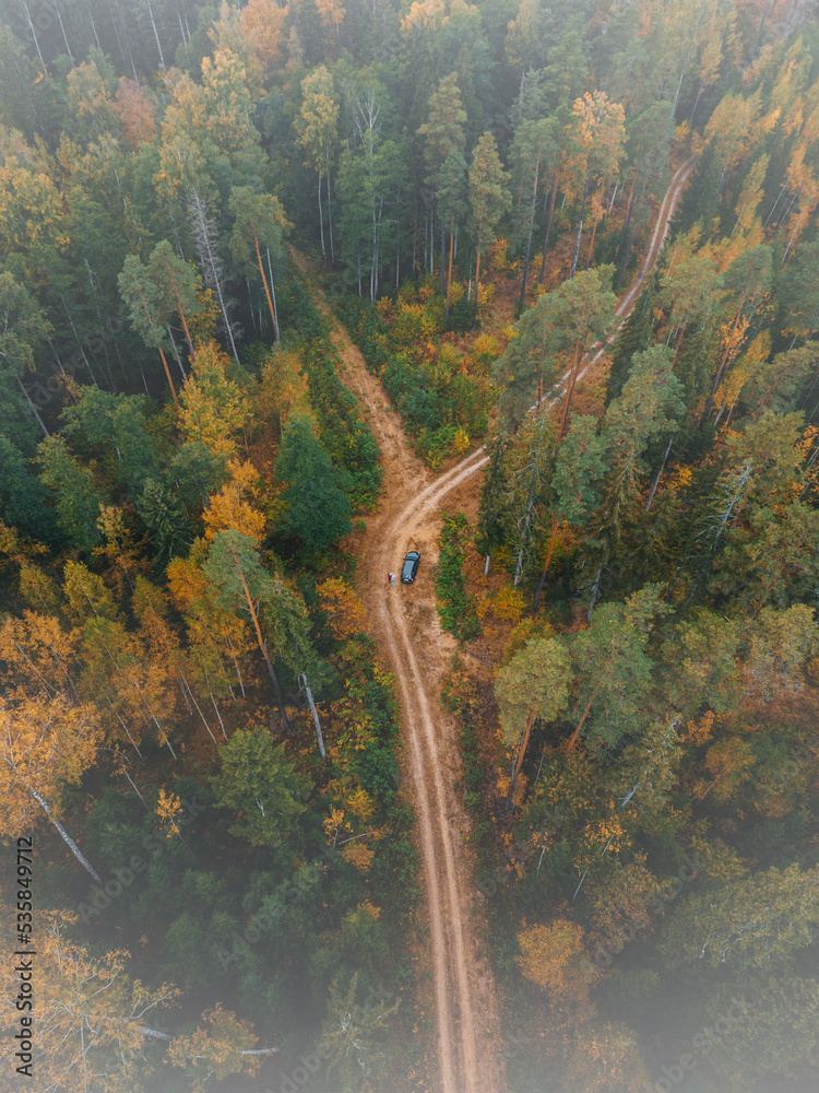 Aerial view of road in beautiful autumn forest at sunrise. Beautiful ...