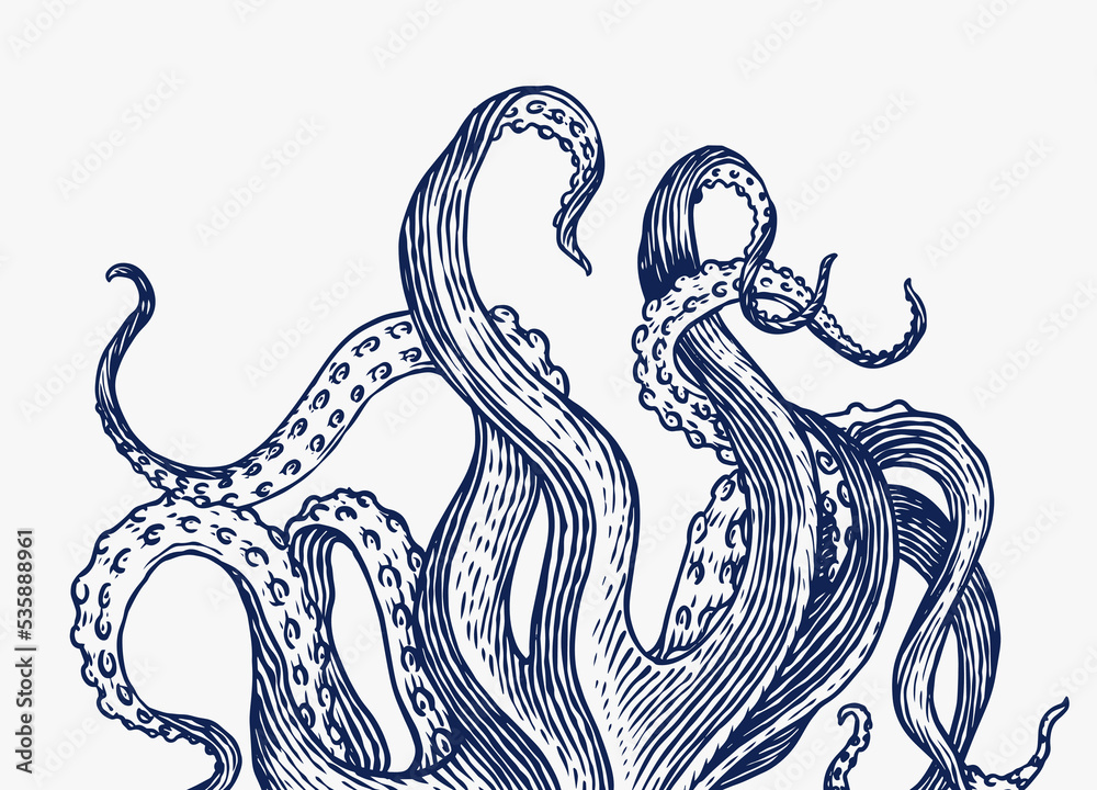 Octopus tentacles. Engraved hand drawn in old sketch, vintage creature ...