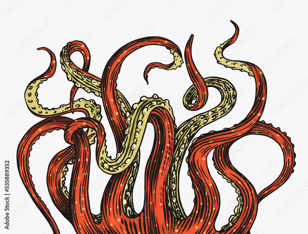 Octopus tentacles. Engraved hand drawn in old sketch, vintage creature ...