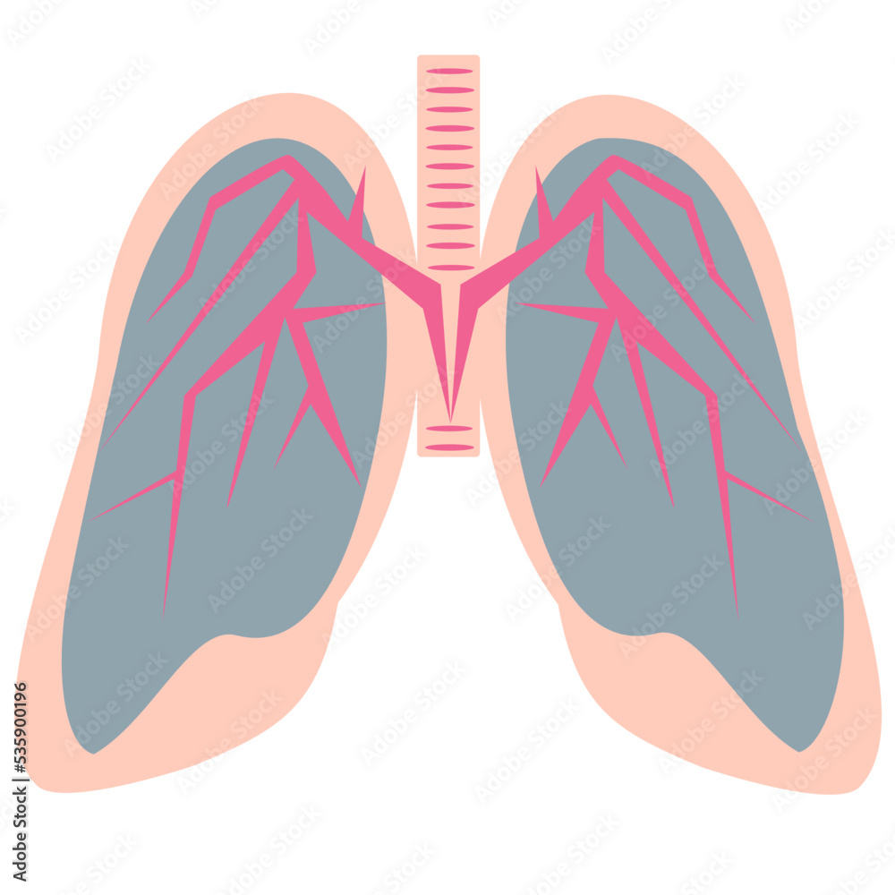 Vector illustration of diseased lungs. Lungs of a sick person. Body ...