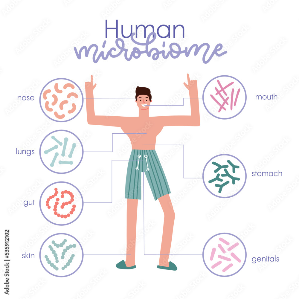 Different types of human microbiome. Infographic with a man character ...