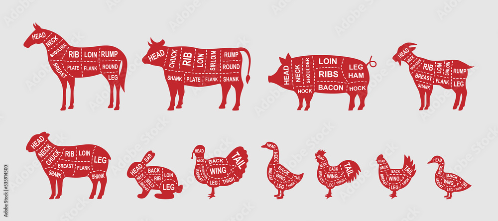 Set of farm animals diagram cuts. Butcher scheme poster. Pig, Horse ...