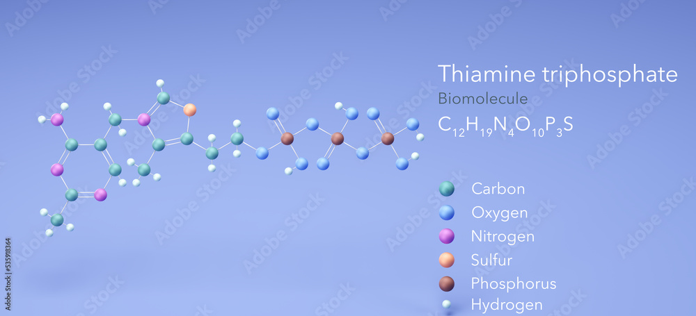 thiamine triphosphate, molecular structures, Biomolecule, 3d model ...