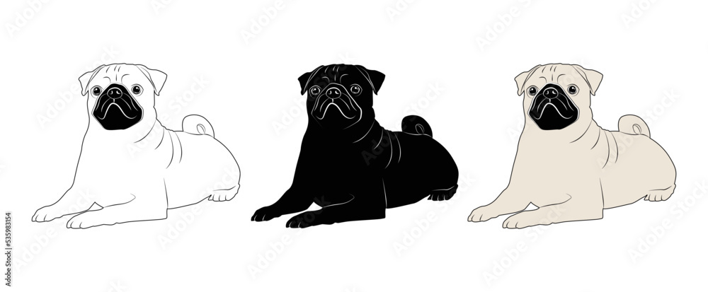Pug dog set. Dog healthy silhouette and poses background. Vector ... Pug dog set. Dog healthy silhouette and poses background. Vector ...