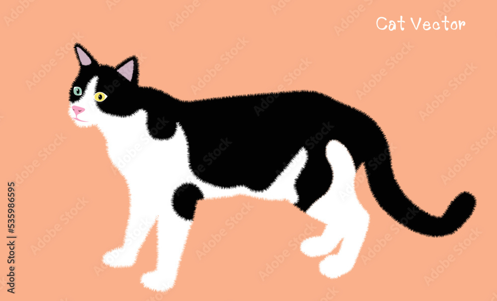 Cartoon cat. Cat behavior, body language and facial expressions in cute ...
