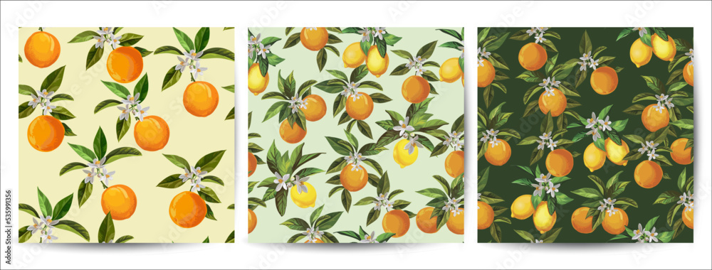 Orange vector set. Seamless citrus pattern. Hand drawn vector ...