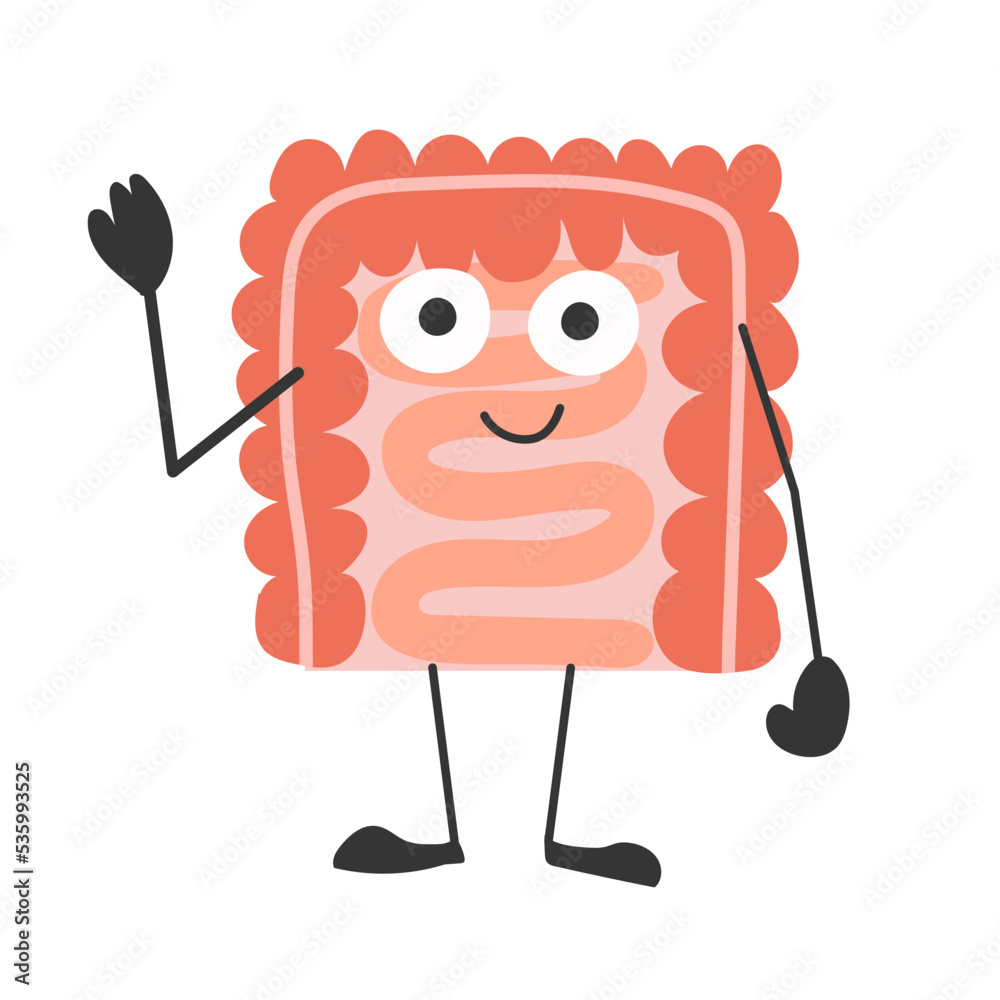 Satisfied, healthy intestines. Vector illustration, flat cartoon style ...