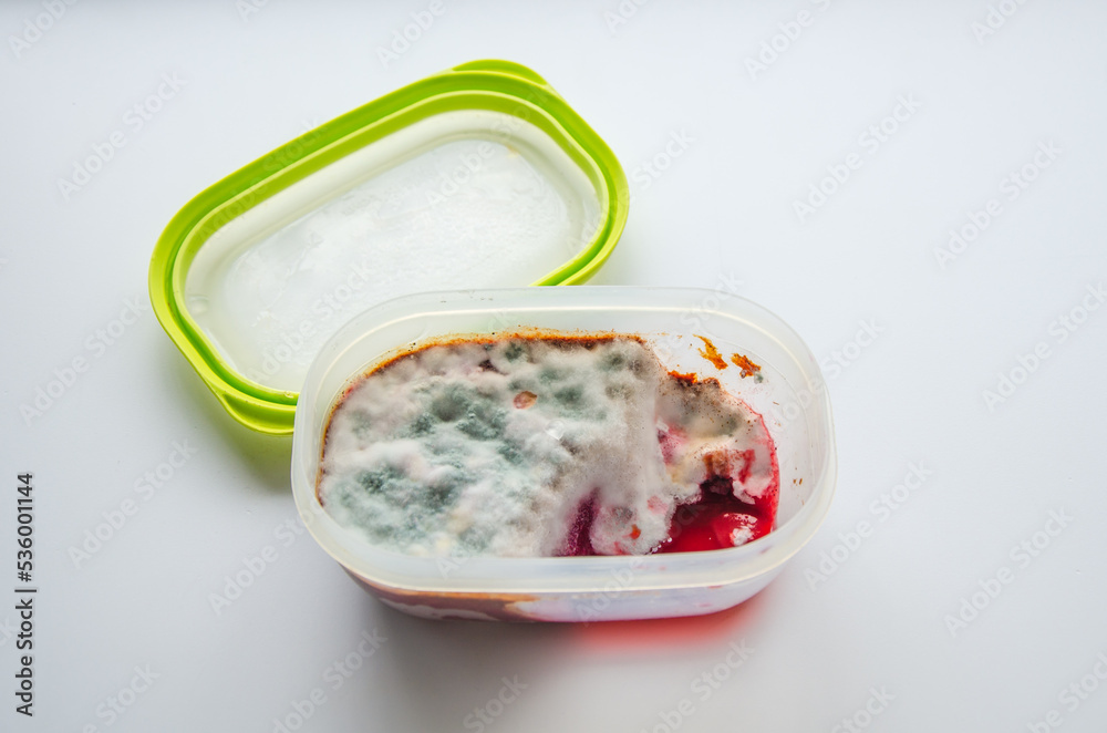 Spoiled food in a plastic box. Mold fungus on food close-up. Fluffy ...