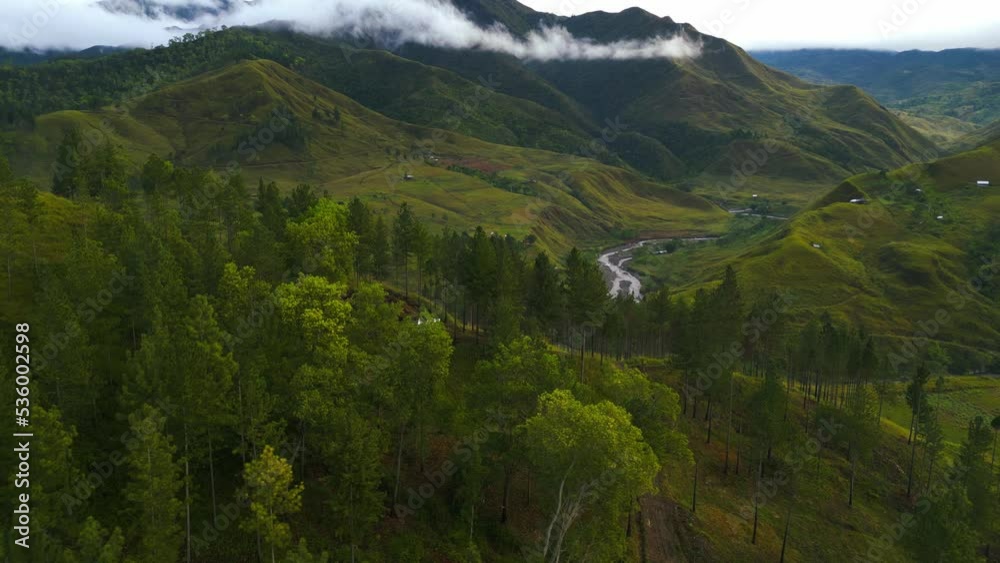 A cinematic reveal shot of Sabang campsite on a hill of pine trees in ...