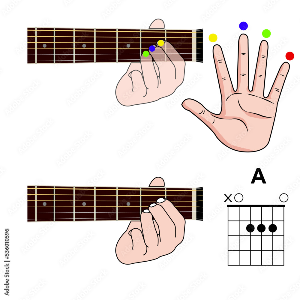 Guitar Chord Basic and Hand Position for Guitar Chord vector. Freestyle ...