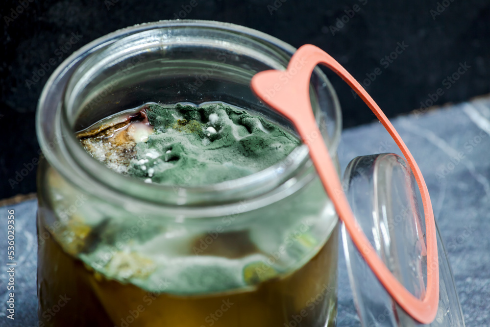 mold on a pickle in a jar. Glass jars with pickled cucumber with Mould ...