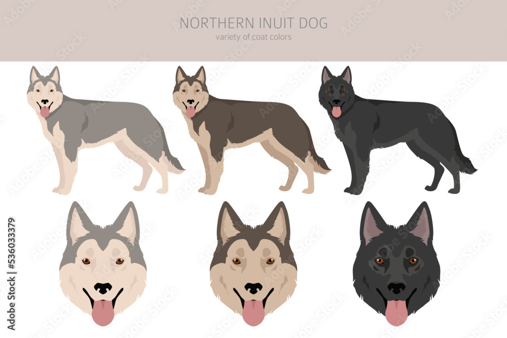 Northern Inuit dog clipart. All coat colors set.; All dog breeds ...