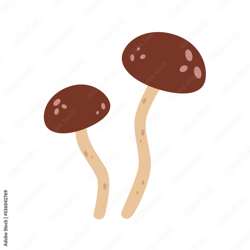 Fungi mushroom icon.Forest mushroom on isolated background.Wild forest ...