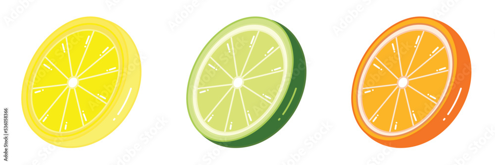 Cut of lemon, lime, orange. Hand drawn vector illustration isolated on ...