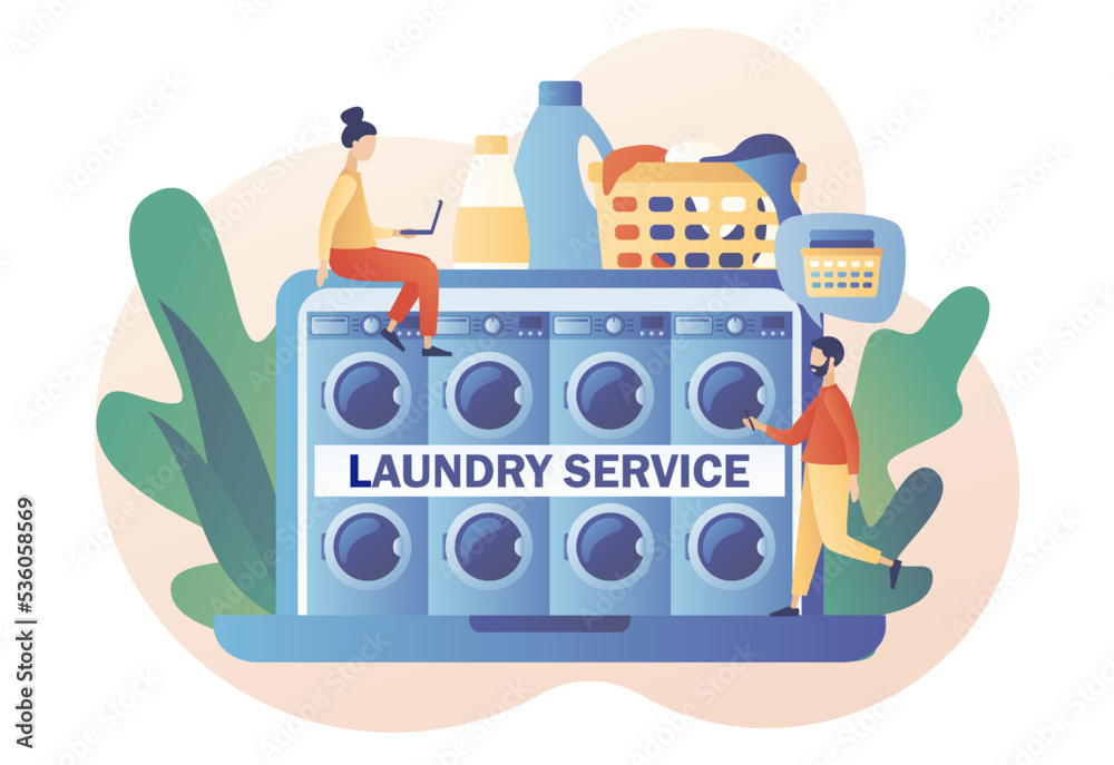 Laundry service online on laptop screen. Washing machines. Laundromat ...