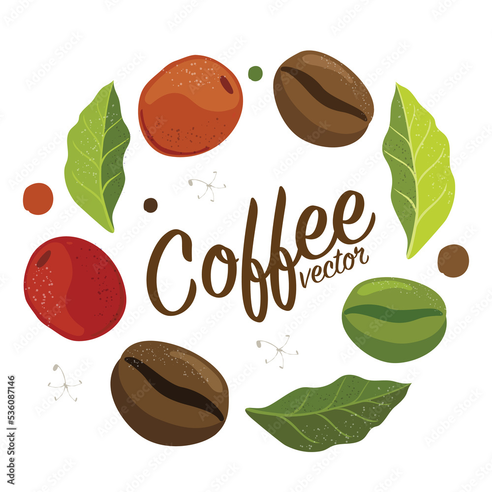 Vector illustration of Specialty coffee, Branches of coffee tree with ...