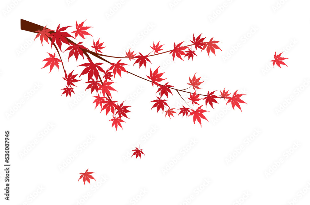 Red Maple Branch isolated on transparent background. PNG file Stock ...
