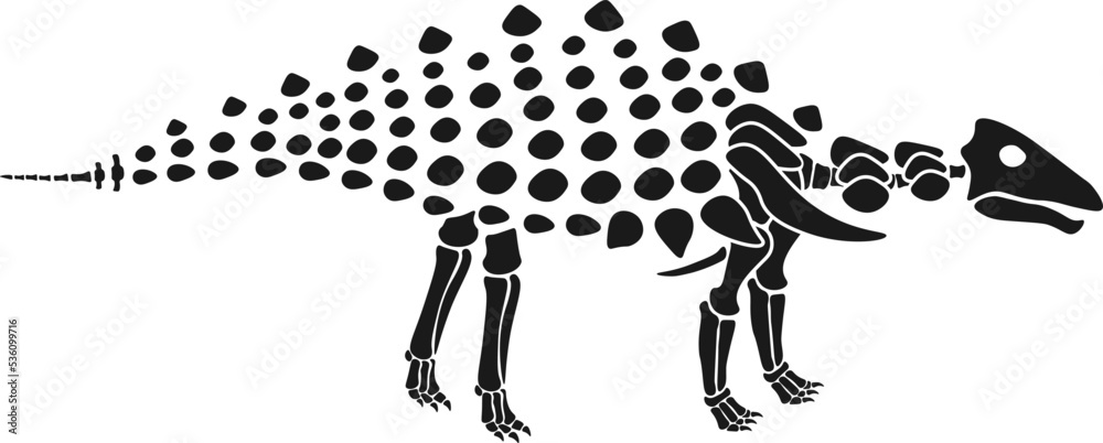 Silvisaurus Dinosaur skeleton Prehistoric Animal. Vector illustration ...