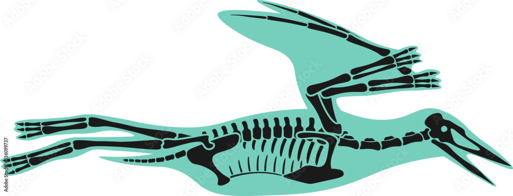Pterodactyl Dinosaur skeleton Prehistoric Animal. Vector illustration ...