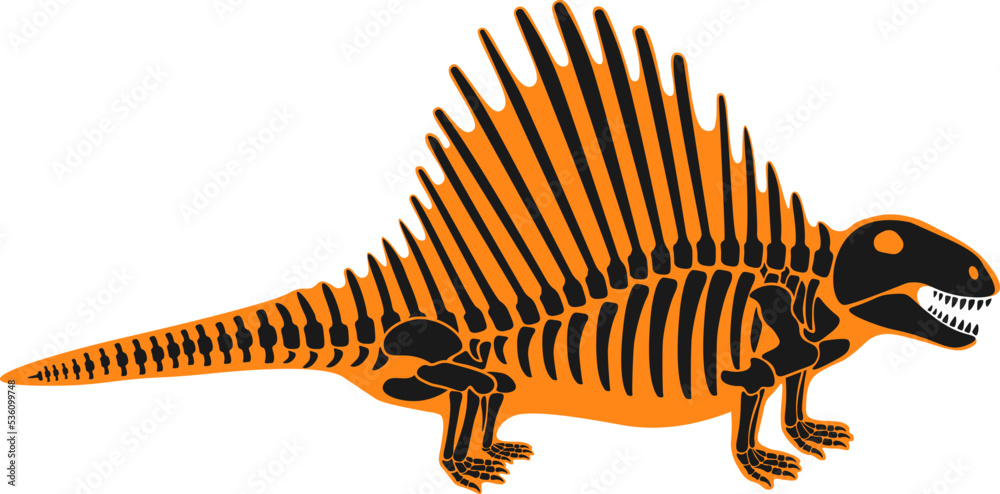 Spinosaurus Dinosaur skeleton Prehistoric Animal. Vector illustration ...