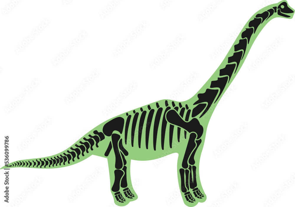 Brontosaurus Dinosaur skeleton Prehistoric Animal. Vector illustration ...