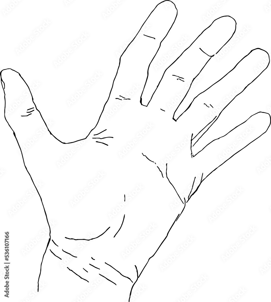 Freihandzeichnung einer linken Hand, Strichzeichnung als Overlay Stock ...