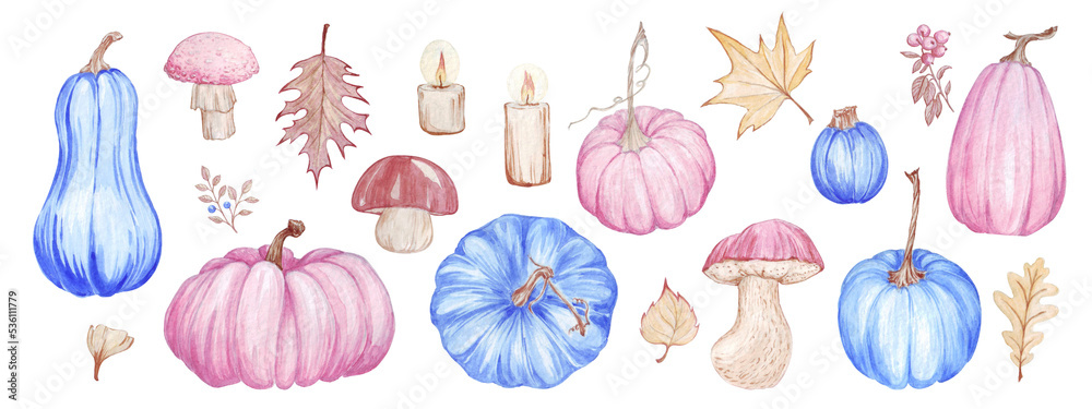 big set of watercolor illustration of pink and blue pumpkins, mushrooms ...