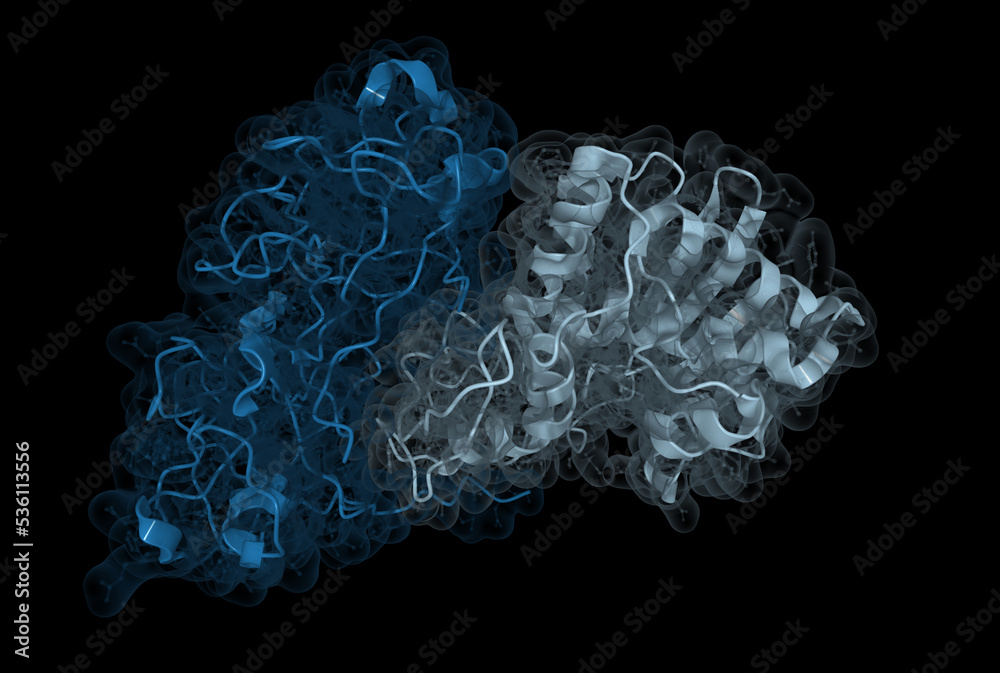 A rendering of a 3D molecular model of ricin - plant cytotoxin that can ...
