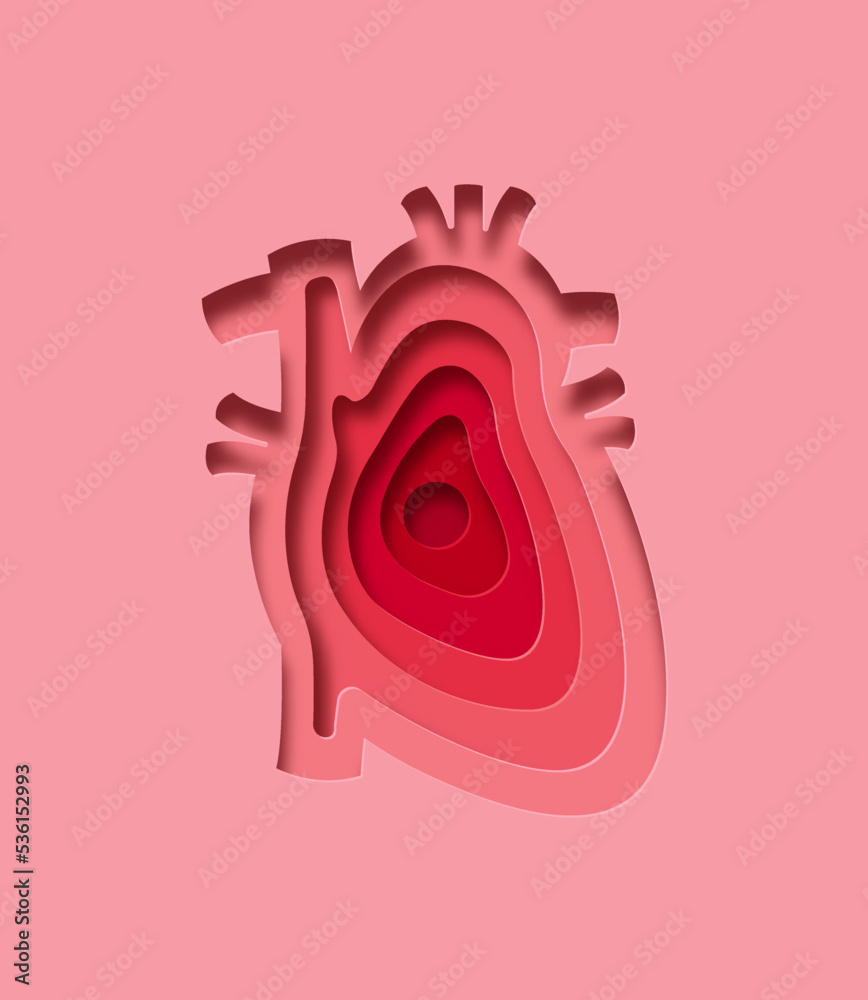 Realistic 3D paper cut human heart illustration. Layered colorful ...