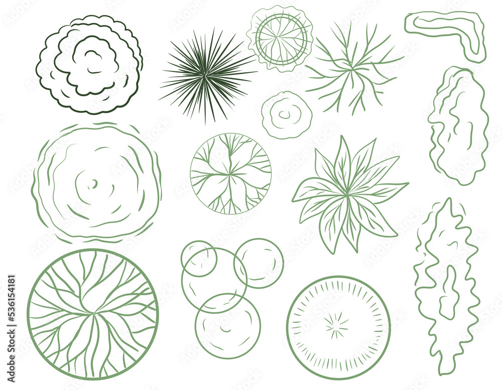 Plan landscape bushes trees top view of the trees graphics color hand ...