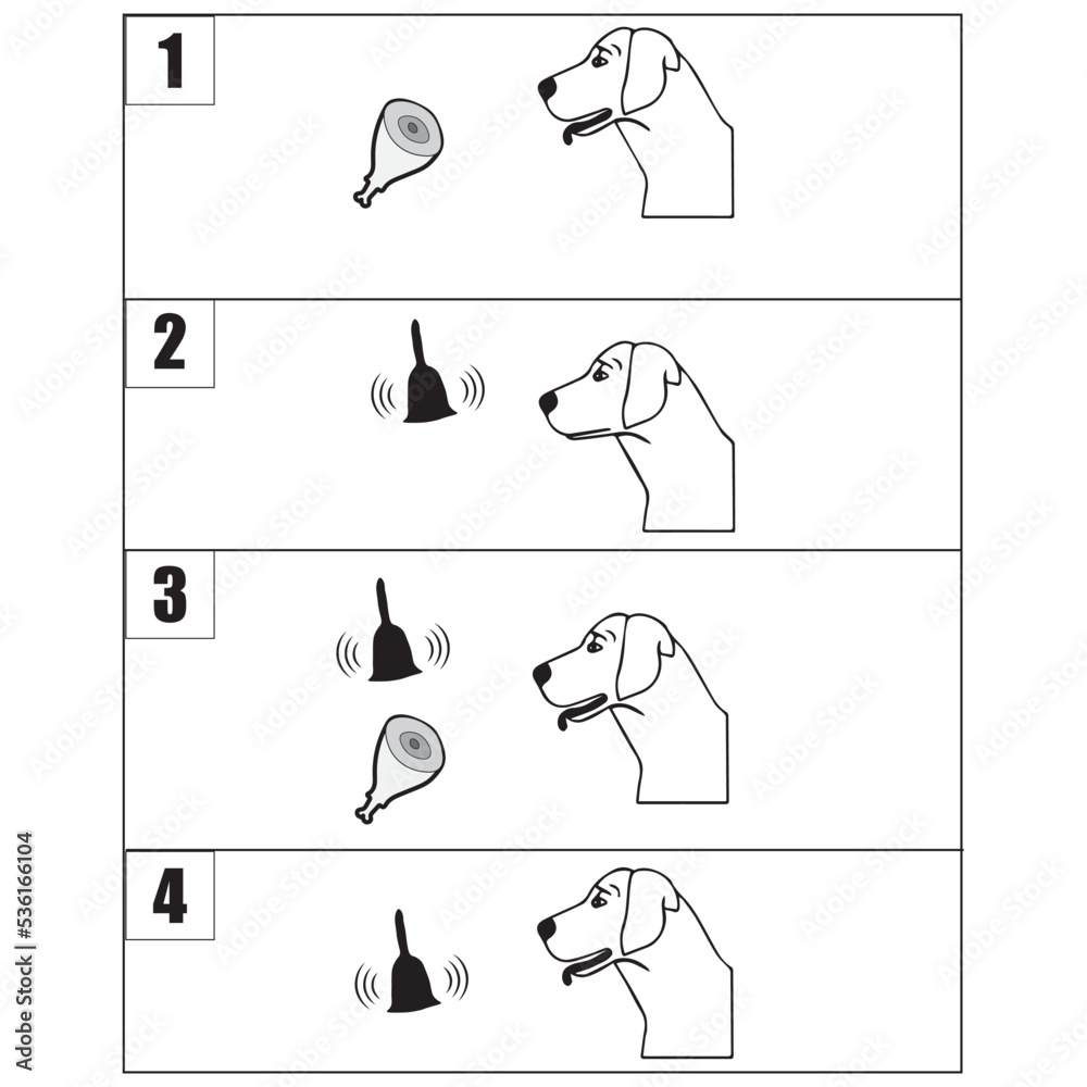 Pavlov's experiment on the dog, the conditional mechanisms of ...