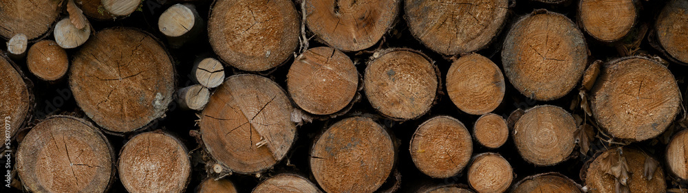 Stack of wooden stumps in cross section texture background - Wood woods ...