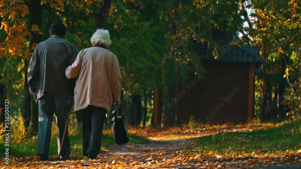 Elderly couple is gray haired wife and husband in elegant outerwear ...