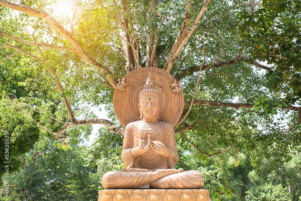 Magha Asanha Visakha Puja Day , stone buddha statue under the big tree ...