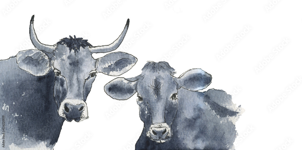 Cows farm animals ink hand drawing Stock Illustration | Adobe Stock