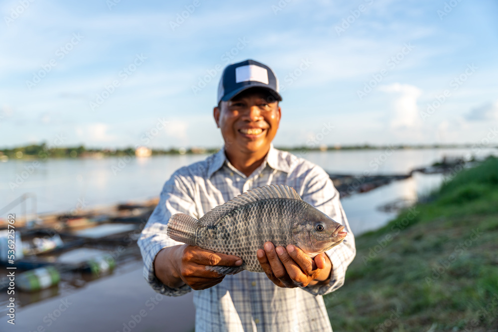 Asian Fisherman holding big tilapia fish, freshwater fish that was ...