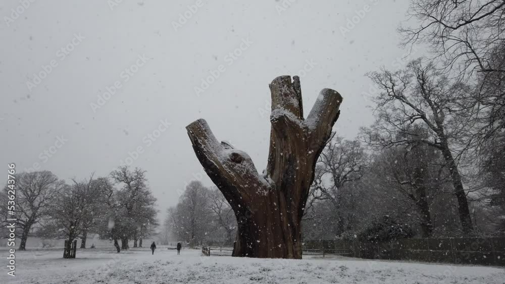 People walking in a heavy snowfall in a UK park setting. Pan shot ...