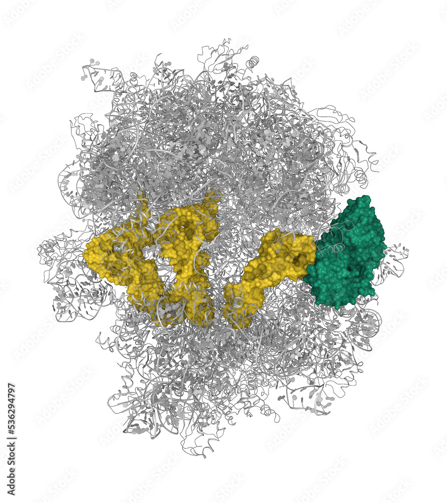 ภาพประกอบสต็อก Scientifically accurate 3D molecular structure of ...