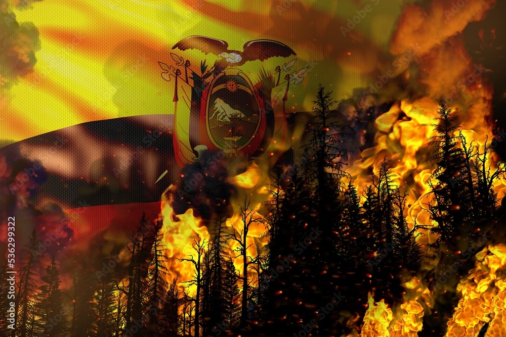 Big forest fire fight concept, natural disaster - infernal fire in the ...