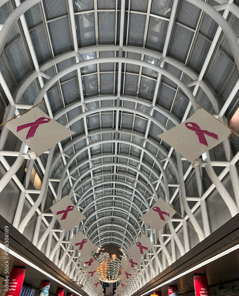 Breast cancer awareness pink ribbon flags hang in the Hall of Flags in ...