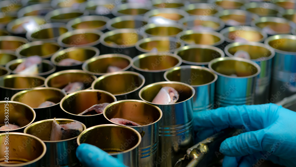 Canned fish factory. Food industry. Food processing production line ...
