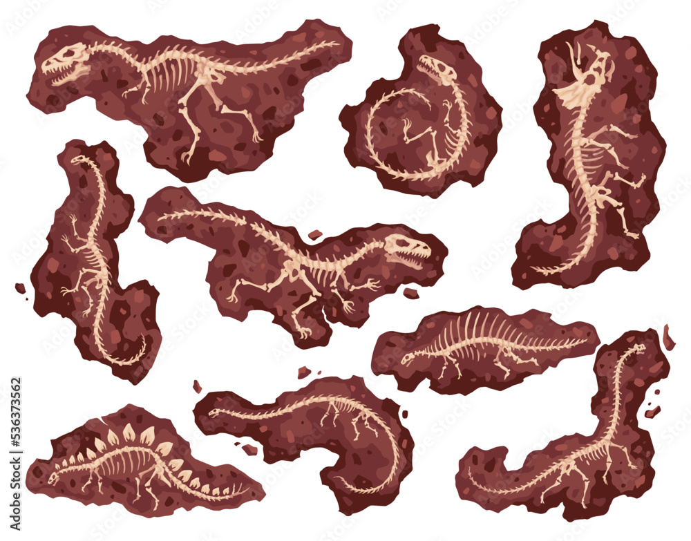 Dinosaur skeleton bones, fossil excavations of archeology isolated set ...