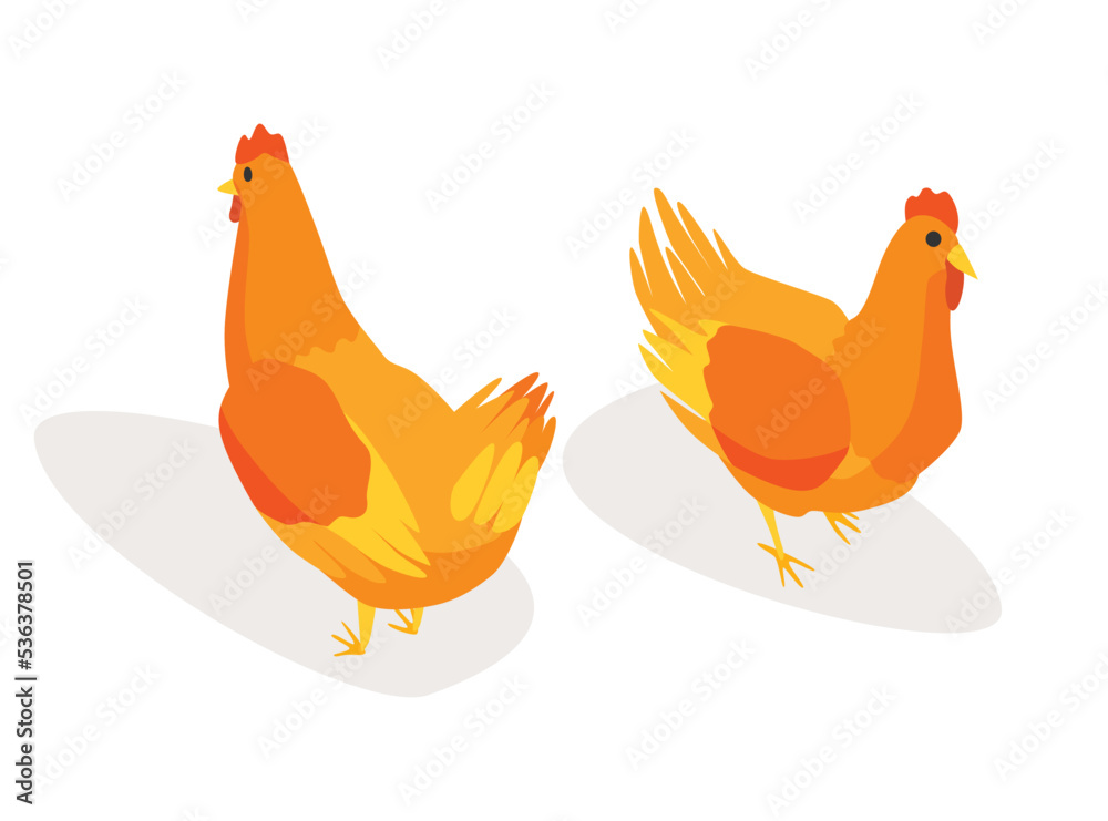 Farm animal isometric. Domestic animal in 3d flat back and front view ...