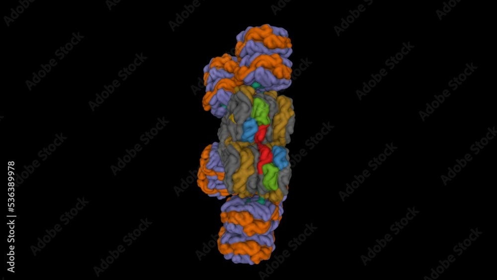 Cryo-EM structure of cyanobacterial phycobilisome from Synechococcus sp ...