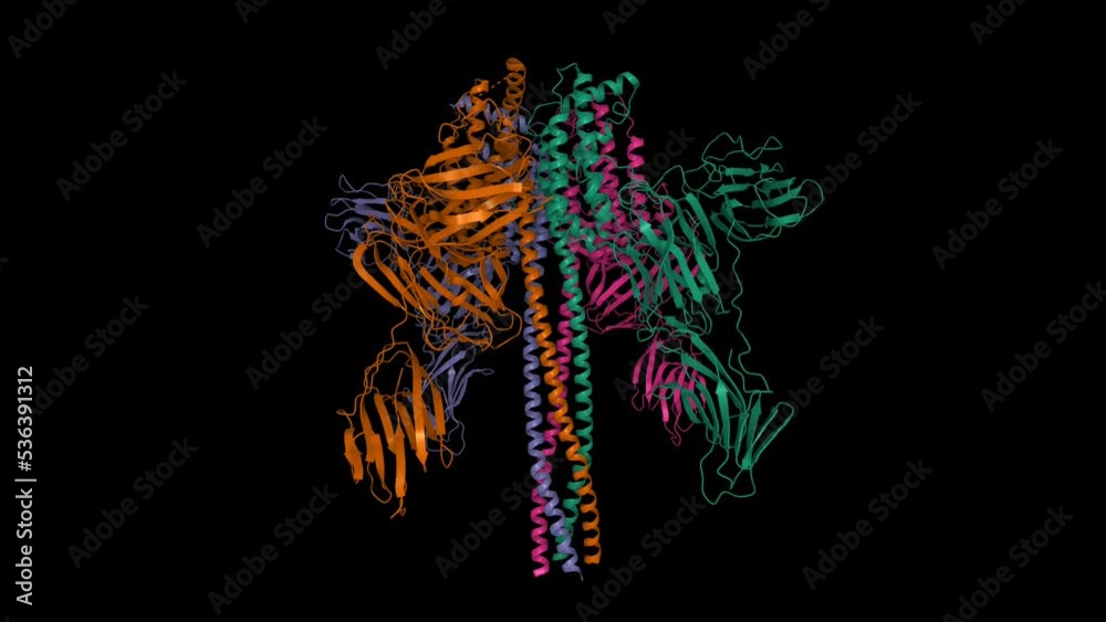 Vip3Aa toxin structure from Bacillus thuringiensis. Animated 3D cartoon ...