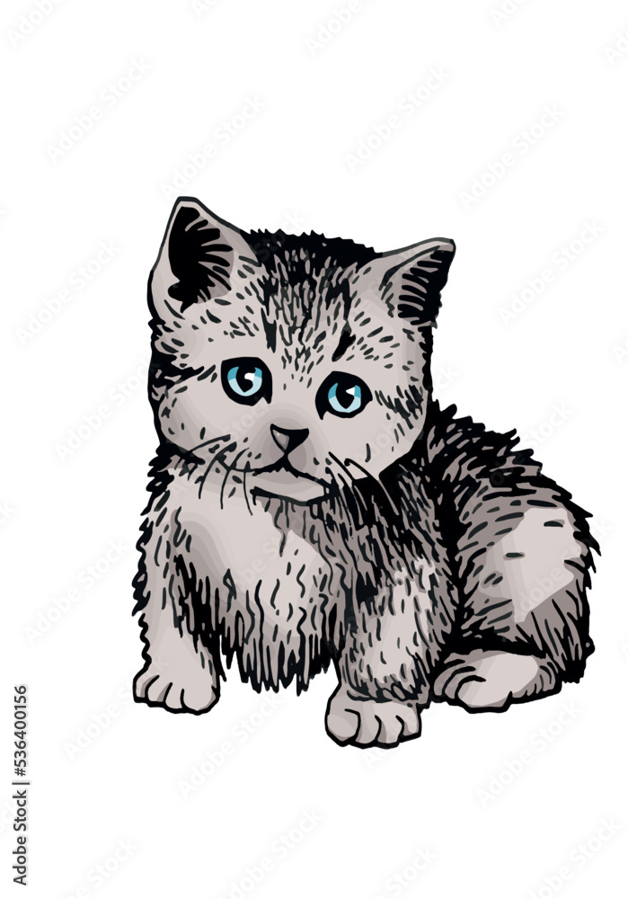 Vector grey color kitten,graphical drawing of domestic pet,illustration ...