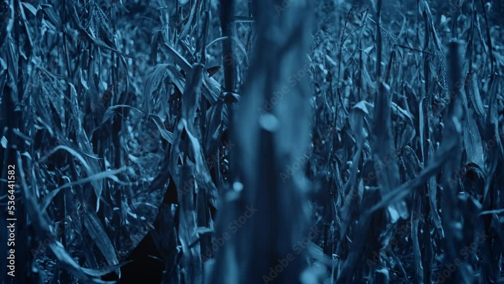 Plague doctor gothic woman with sharp scythe walking at night in ...