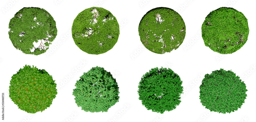 Collection of 3D Top view Green Trees Isolated on PNGs transparent ...