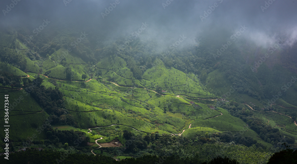 Munnar, the famed hill station of south India, is a romantic locale ...